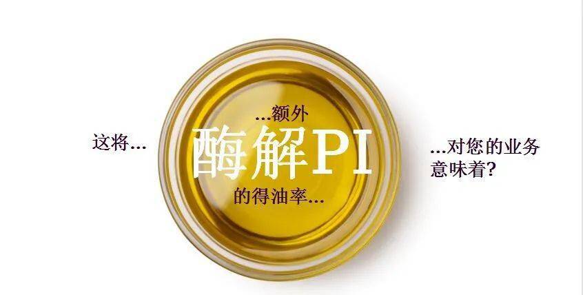 【会议通知】线上会议明日开启——诺维信全新PLC酶Quara® Boost助力企业提高精炼得率技术交流会_油脂