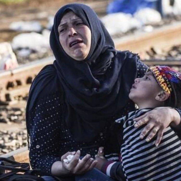 CATTI真题打卡 D52丨201705 E-C 1 国际社会救助难民_into