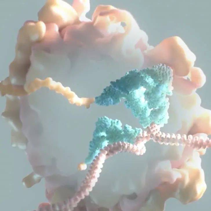 Flagship Pioneering推出新公司并注资5000万美元，计划开发tRNA药物治疗遗传疾病_Alltrna