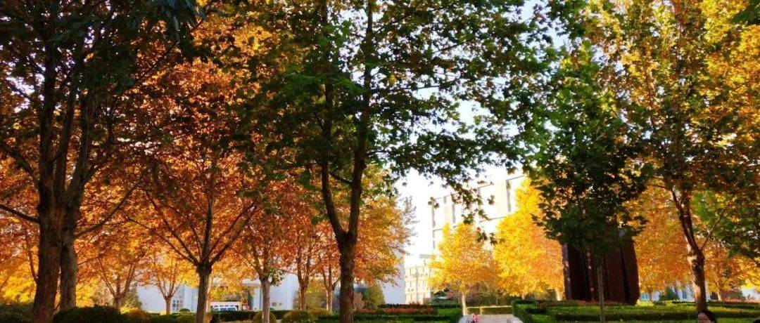 @全体BIFTer，北京新增聚集性疫情，严防严控不能松懈！_工作