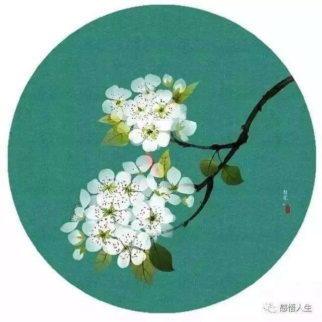 突然间懂了!(很现实)心态真相事情