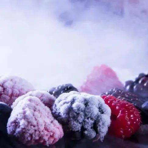 中东欧国家冷冻水果获输华准入许可_出口_全球_速冻