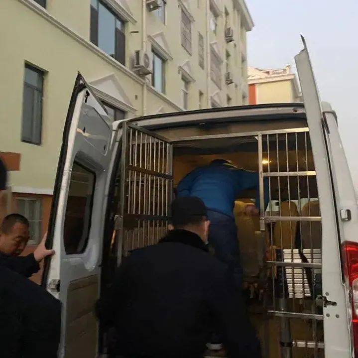 淄博一地多人被抓!现场图曝光桓台县dumdums余元