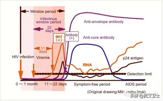 1分钟读懂HIV的窗口期（建议收藏）_检测_抗体_病毒