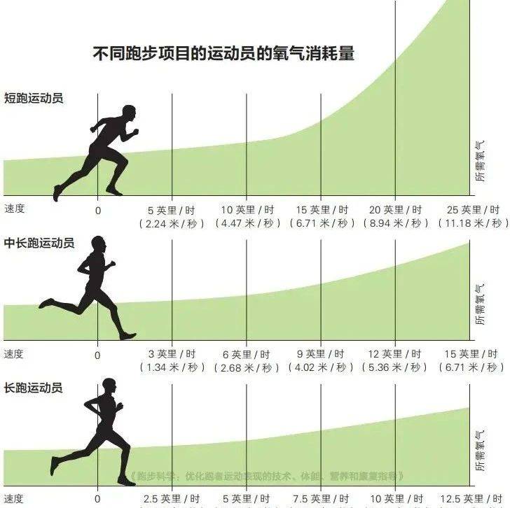 提高跑步经济性，让你越跑越轻松！_消耗_能量_身体