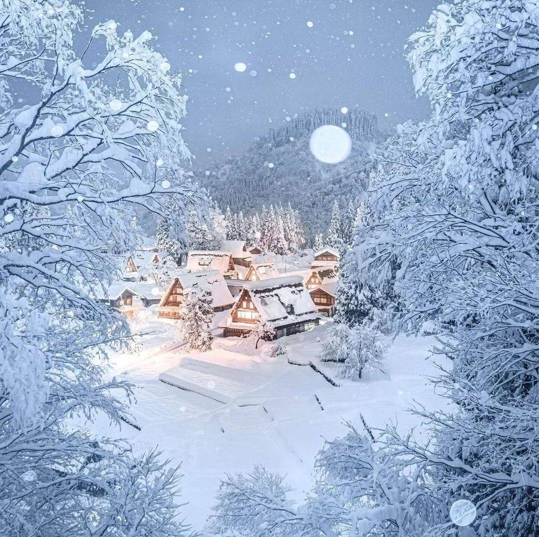 飘雪，漫天飞舞的雪花有多美丽！_Photo_by_ins@t