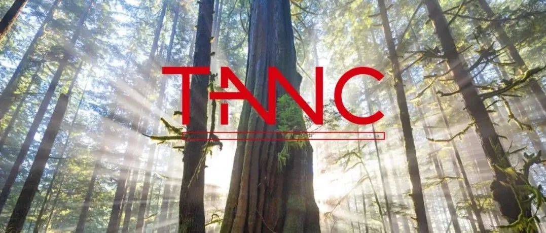 TANC 冬贮招募｜如果你具备这些特质，欢迎你成为我们团队的一员_艺术_工作_对媒体