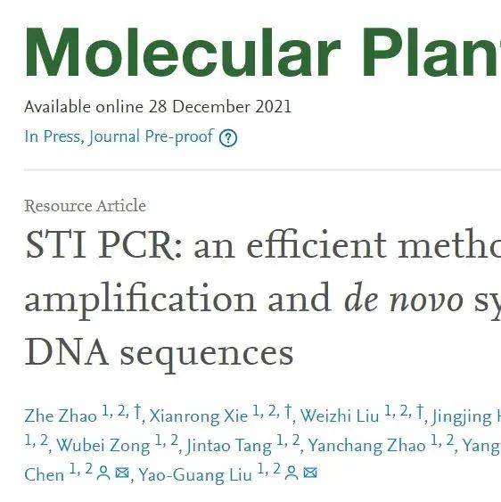 刘耀光院士团队开发一种高效特异的超长DNA扩增新方法——STI PCR_片段_序列_研究