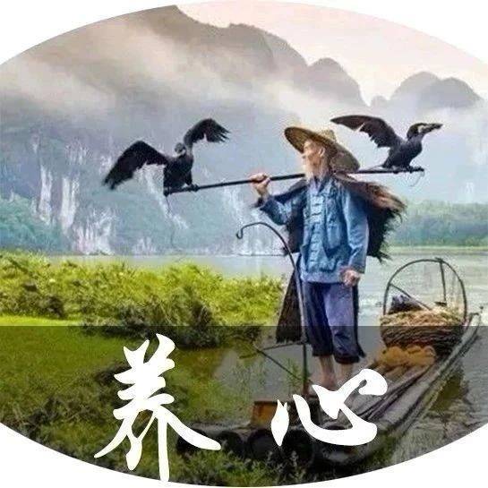 不为往事忧,只愿余生笑人生生活什么