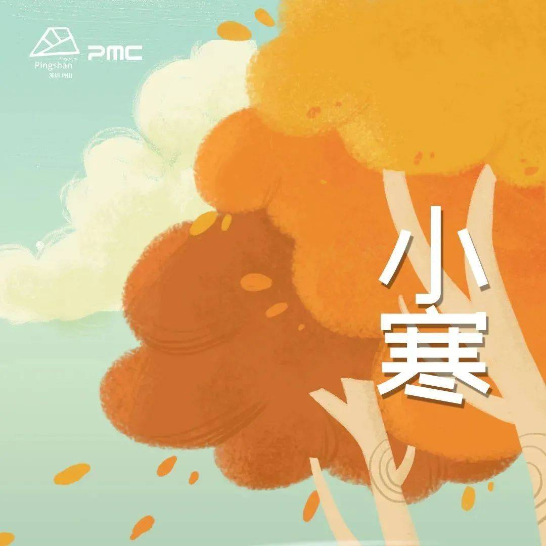 今日小寒 愿你不畏严寒关,终迎春日暖内容孙亚菲林一瑛