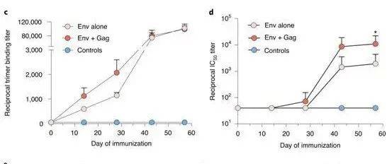 前沿 | 艾滋病新希望？mRNA HIV疫苗可将感染风险降低79%！_病毒_研究_接种
