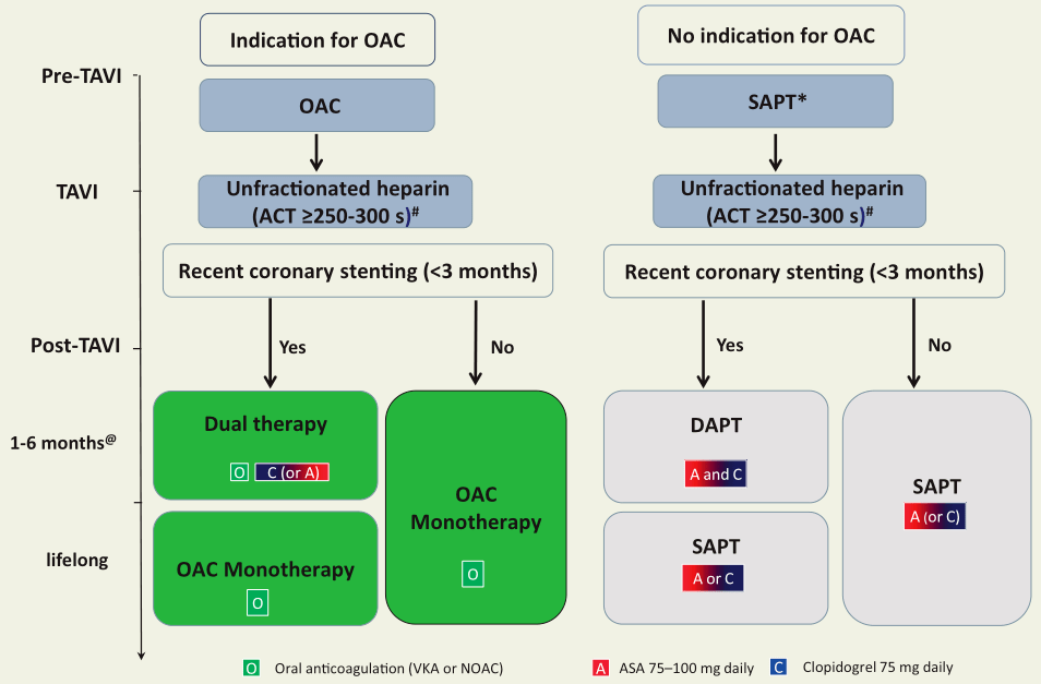 结构2021年度报告（TAVR篇） | 宋光远教授：TAVR领域进展如火如荼，国内外热点层出不穷_患者_瓣膜_手术