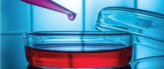 Science：同一批次的FBS居然做出来的实验结果也会不同？_培养基_细胞_研究