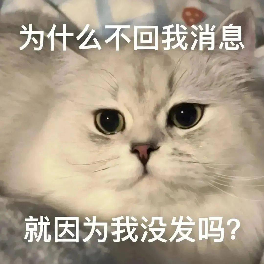 表情包 你们玩吧,我没钱了nice头像版权