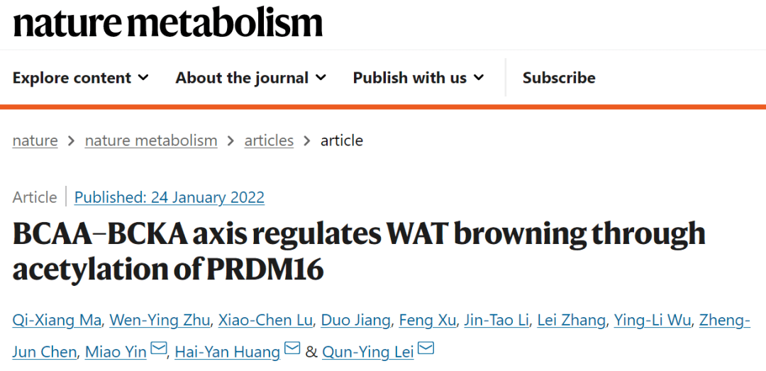 复旦大学雷群英团队等揭示BCAA-BCKA代谢轴促进肥胖的机制_研究_脂肪_棕色