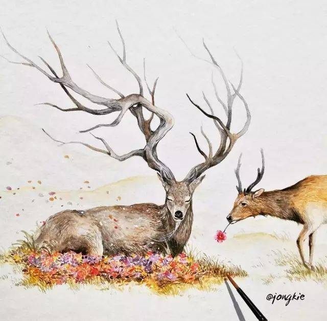 如果你喜欢用水彩画鹿，那一定不要错过收藏这篇文章_闪画_Luqman_Mulyono