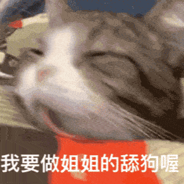 香港投行女Associate Vlog曝光！凌晨1点还在学Python…_Sherry_python_项目