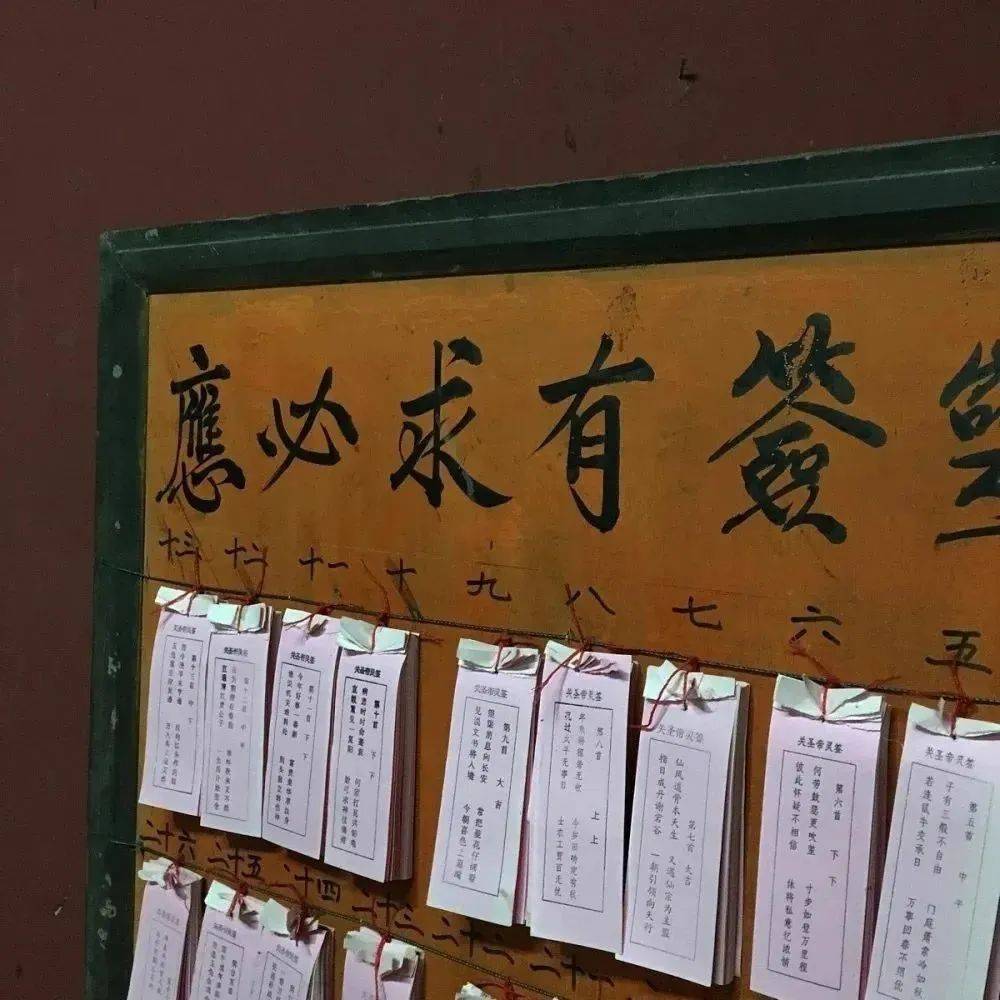 人生后悔的两件事:读书时偷懒,赚钱时矫情简介教育课天下