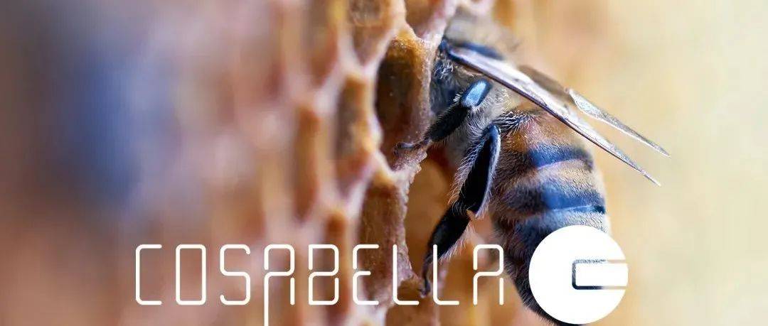 Cosabella·爱巢丨以爱为巢，柔情蜜意_mm_电视柜