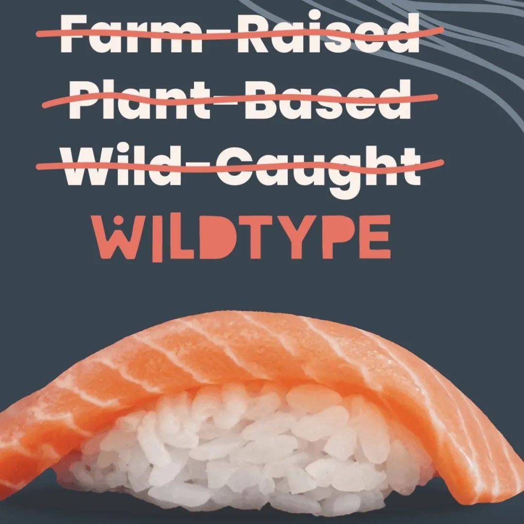 主打不杀生的“寿司级三文鱼” ，Wildtype 完成1亿美元B轮融资，两位好莱坞巨星参投_美国_Bezos_基金