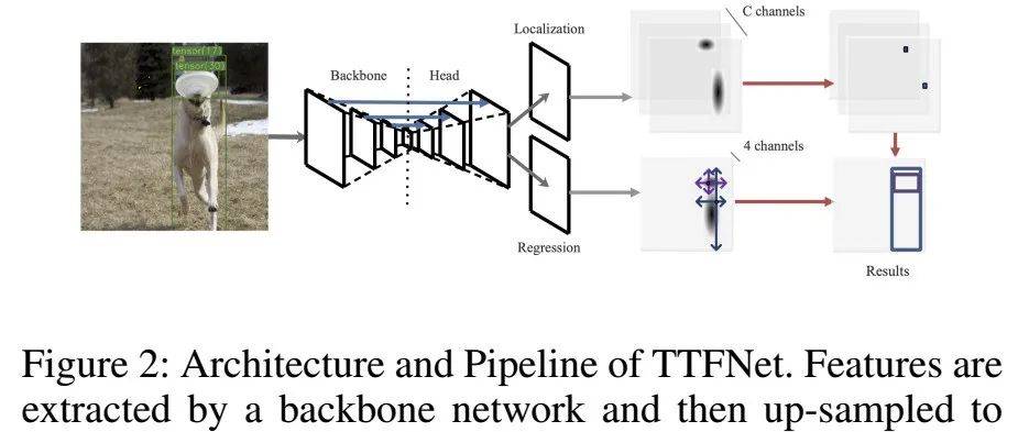 TTFNet：改进CenterNet，使得训练时间缩短7倍_方法_目标中心_推理