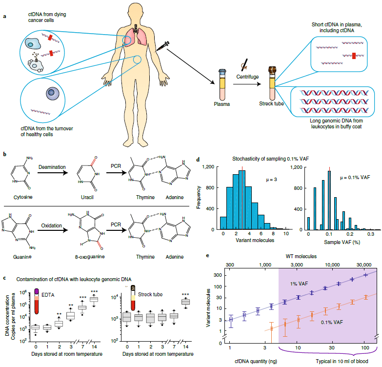 Nature子刊 | 一文梳理cfDNA在癌症诊断中的机遇和挑战_检测_肿瘤_技术