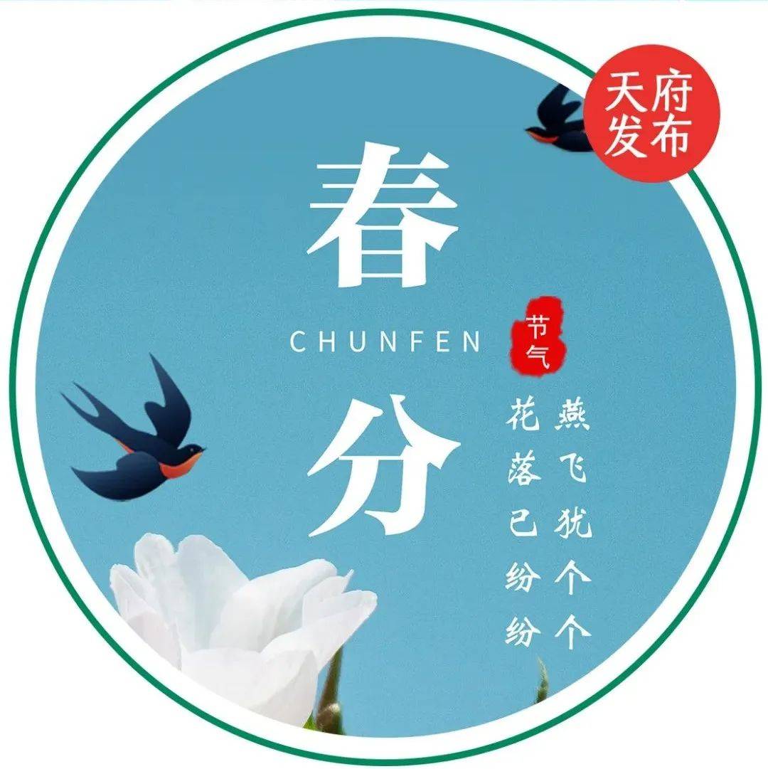 今日春分 | 春分雨脚落声微，柳岸斜风燕归来_活动_民俗_人们