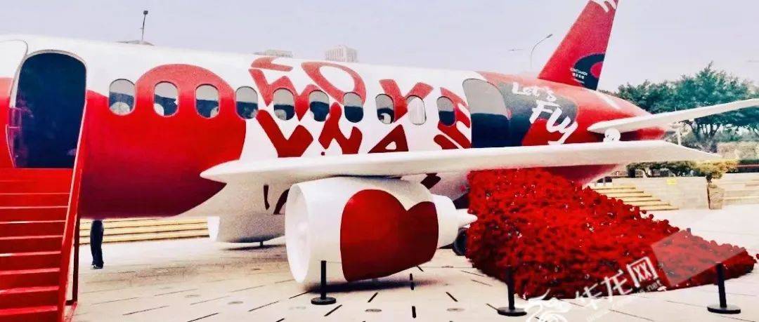 A romantic “Rose Plane” in Chongqing_plane_roses_the