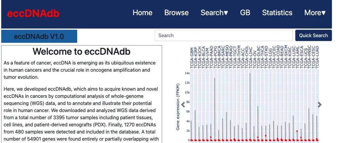 eccDNAdb｜肿瘤染色体外环状DNA数据库_分析_实验_基因