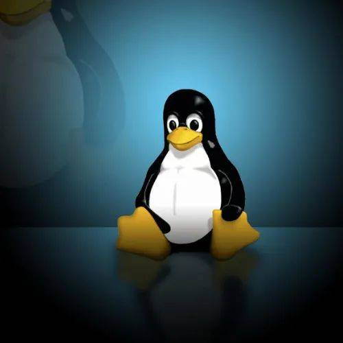 运维常用的 34 个 Linux Shell 脚本，一定能帮到你！_echo_num_if