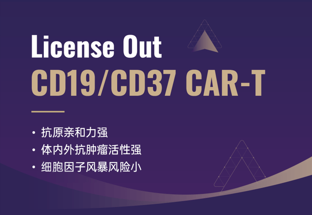 项目合作 | CD19×CD37 双靶点CAR-T_细胞_抗原_表面