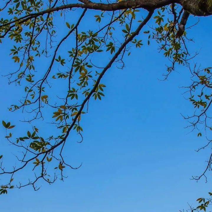你的嘴,决定你的命运!(深度)生活朋友老人