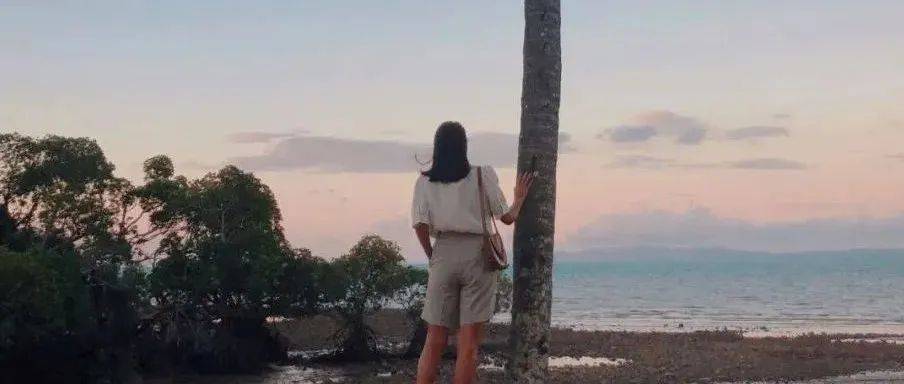 Rolling 2021 × 我 的 告 别 式_海岛_达尔文_城市