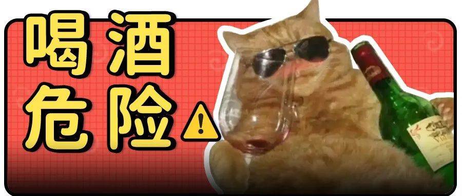 谁再给猫喝酒，我扇烂ta的嘴巴！”萨摩耶酒精猫咪