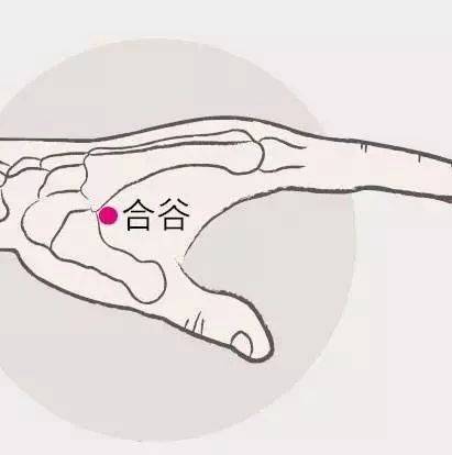 合谷穴，一个治病的“万能穴”！_治疗_气血_虎口