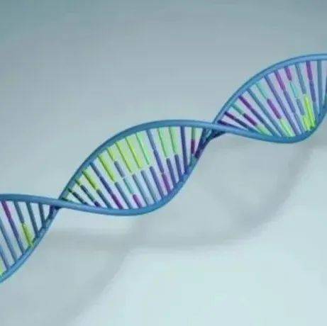 我国首个新生儿感染性疾病mNGS临床应用专家共识发布_检测_常规_样本