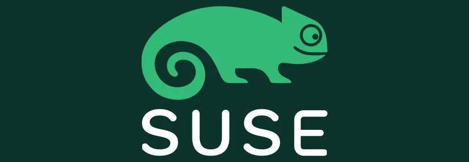 开源软件巨头发布 Euler Linux 2.0，支持华为鲲鹏、飞腾处理器_手机搜狐网