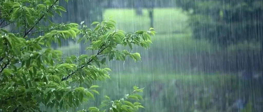 |译言译语| 注意“小雨”不是“small rain”，“大雨”也不是“big rain”哦！_wet_winds_cats