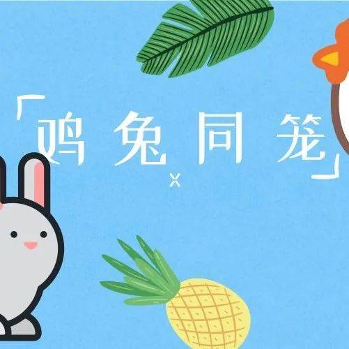 经典的“鸡兔同笼”，原来这么简单！_兔子_方法_分析