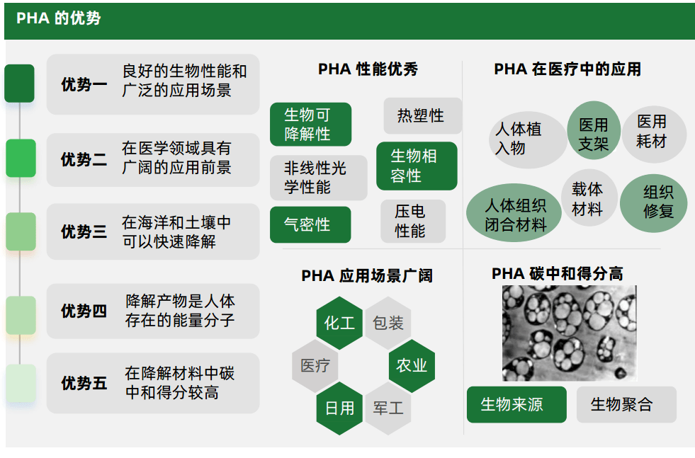 3个“第一”，强强联合，又一项目启动！PHA要火_生产_材料_微构
