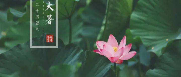 明日大暑: 桑拿天”成主角节气人们时节