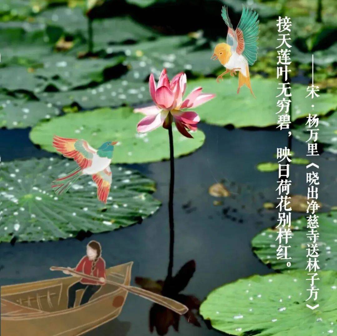 今日大暑：赤日几时过，清风无处寻林钟九伏姜时节
