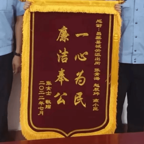 昌黎偷手机的贼被抓警方用无人机抓捕持枪伤人案嫌犯群众民生街