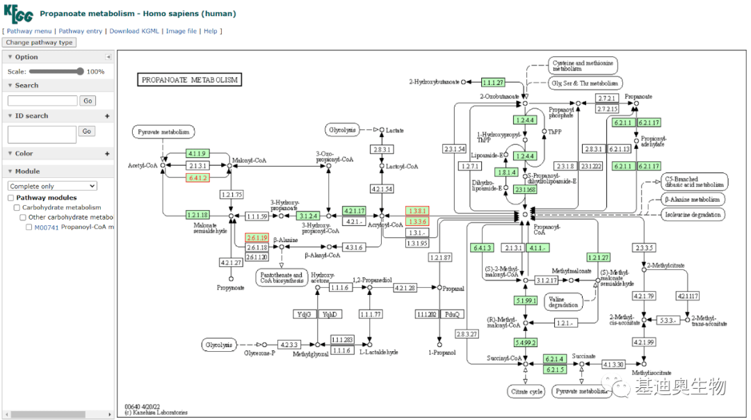 基因功能注释包下载、制作与富集分析_ggplot_kegg_db