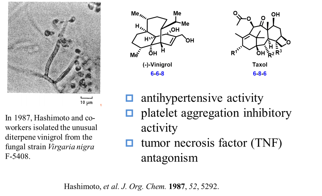 明星分子Vinigrol全合成研究_反应_结构_化学