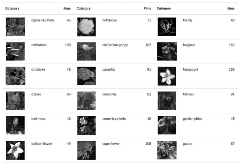 TensorFlow深度学习实战 | 基于ResNet的花卉图片分类（限免视频）_进行_数据_Flowers