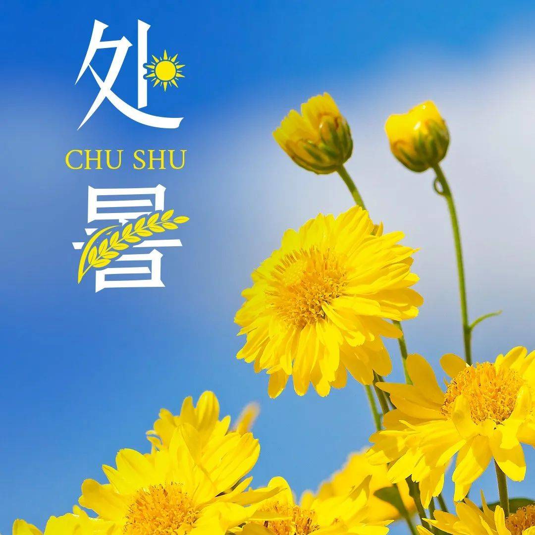处暑 未觉夏已尽，时至已新秋鸭子温差食物