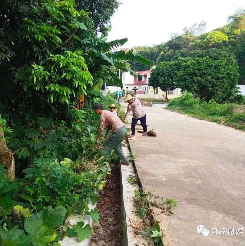 东坝镇：心系群众解民忧 “多网合一”为民办实事_整治_郁南县_杂草
