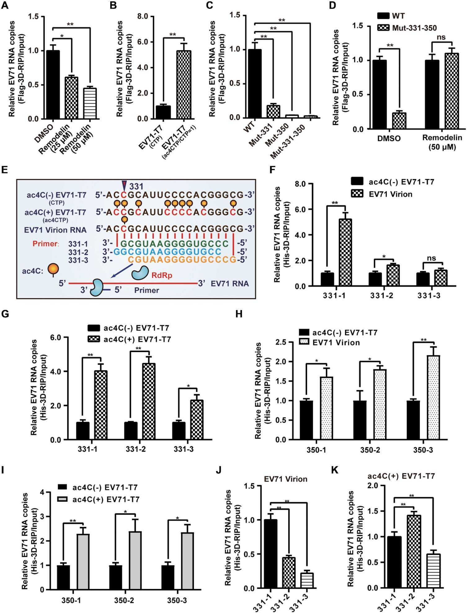 1区，IF=19.16| 云序RNA乙酰化测序acRIP-seq助力病毒复制机制研究！_基因组_细胞_Mut-
