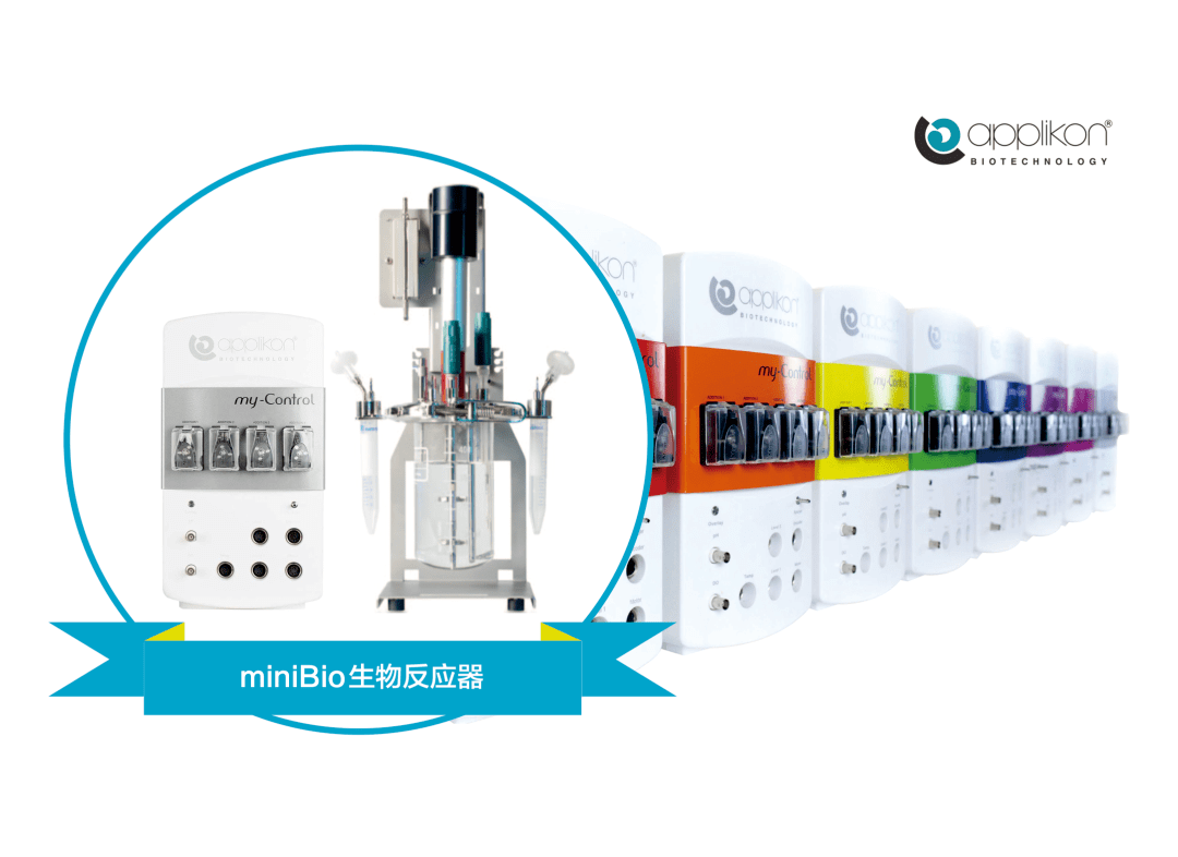 【推荐】干细胞行业发展迎来黄金时代，工艺助力解锁千亿新蓝海_组织细胞_产品_过程